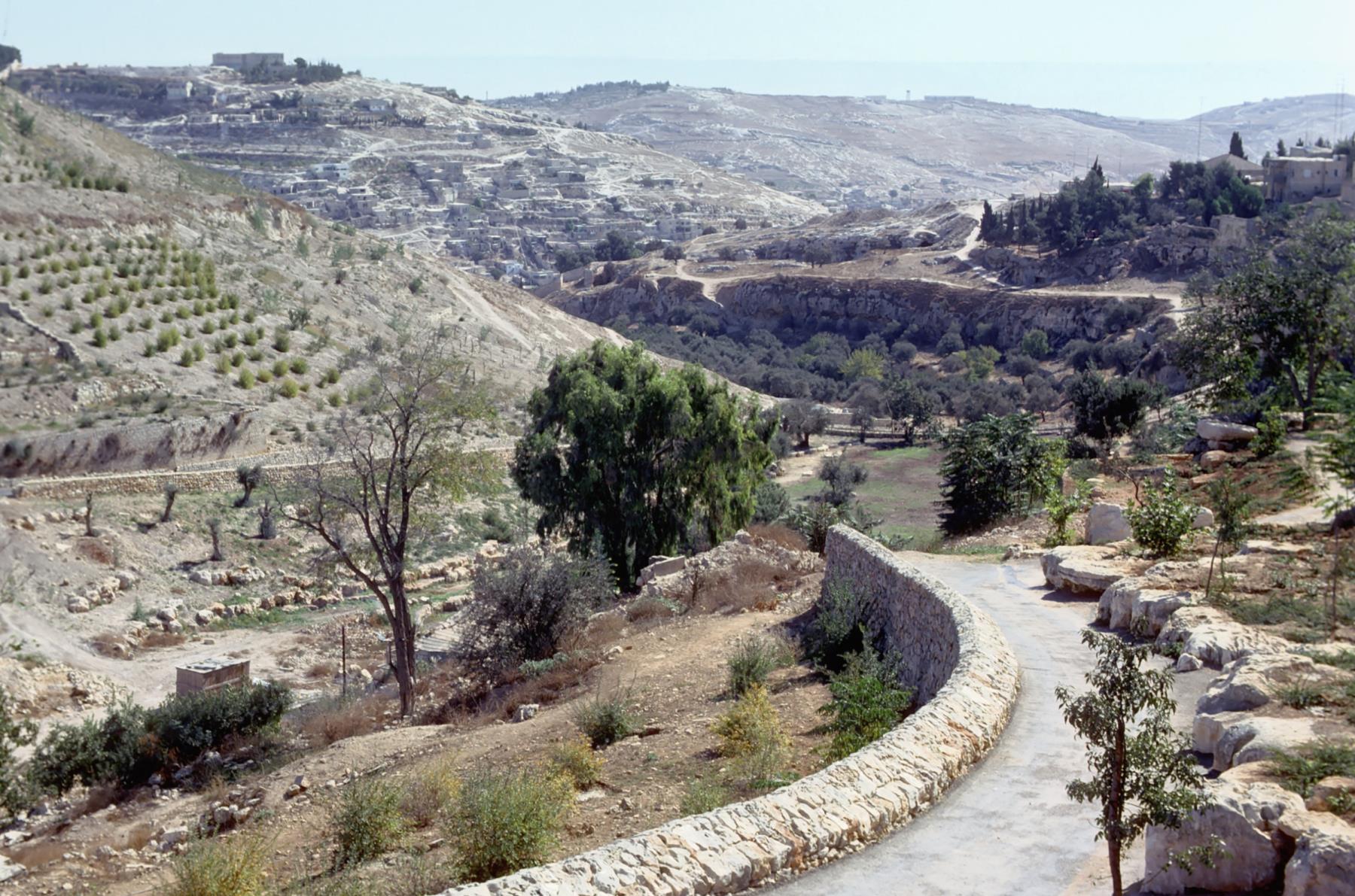 Will You Be a Sheep or a Goat? - Hearing and Obeying